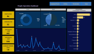 Top 7 Free Power BI Template for HR Management